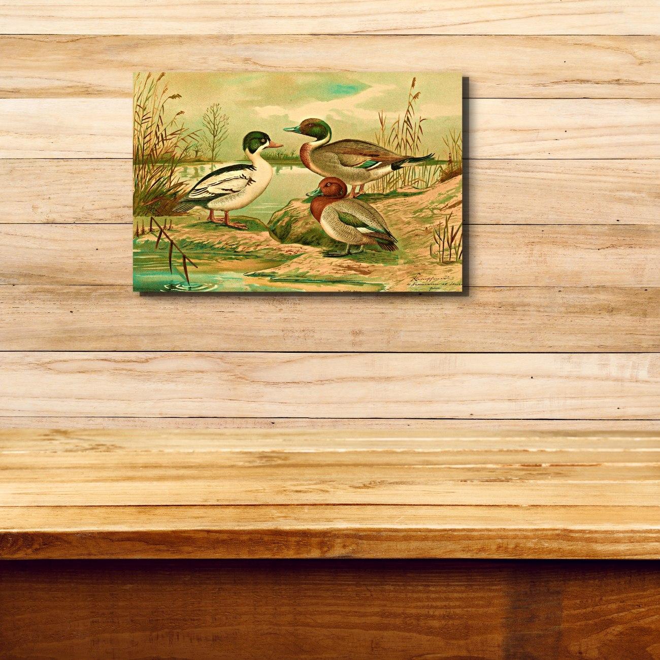 A Wildlife Wall Art - Bellesima