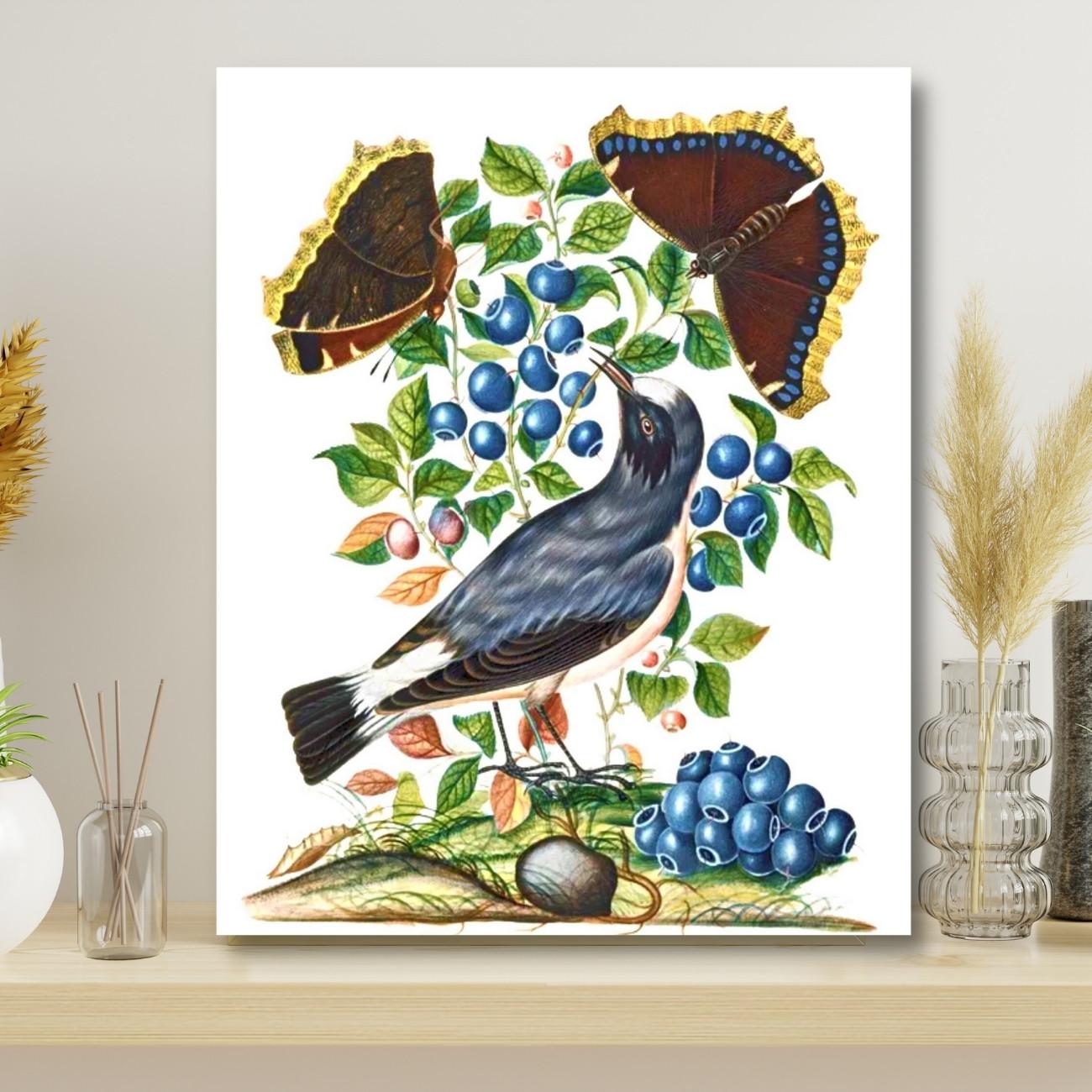 Art Nature - Bellesima