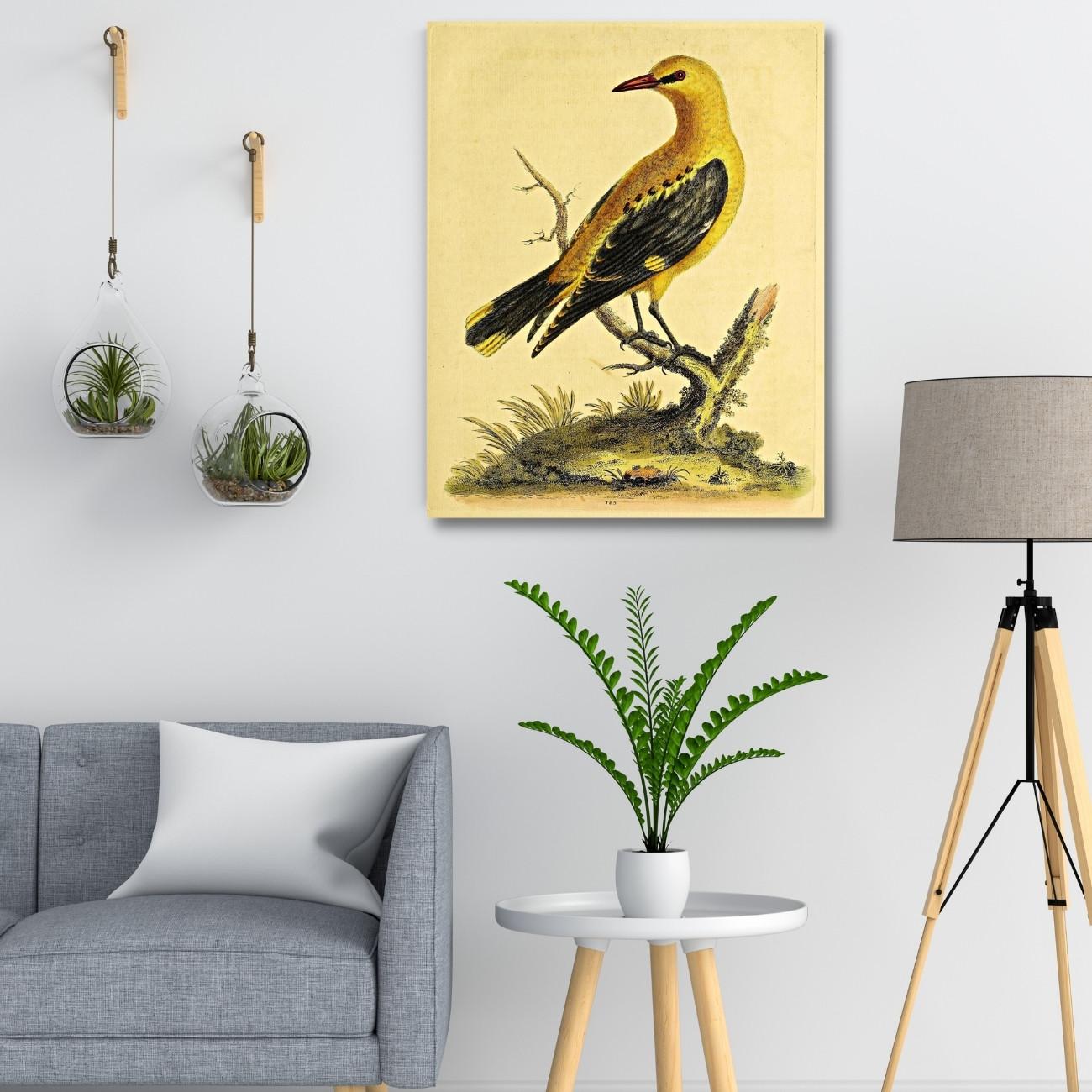 Large Vintage Wall Art Prints - Bellesima