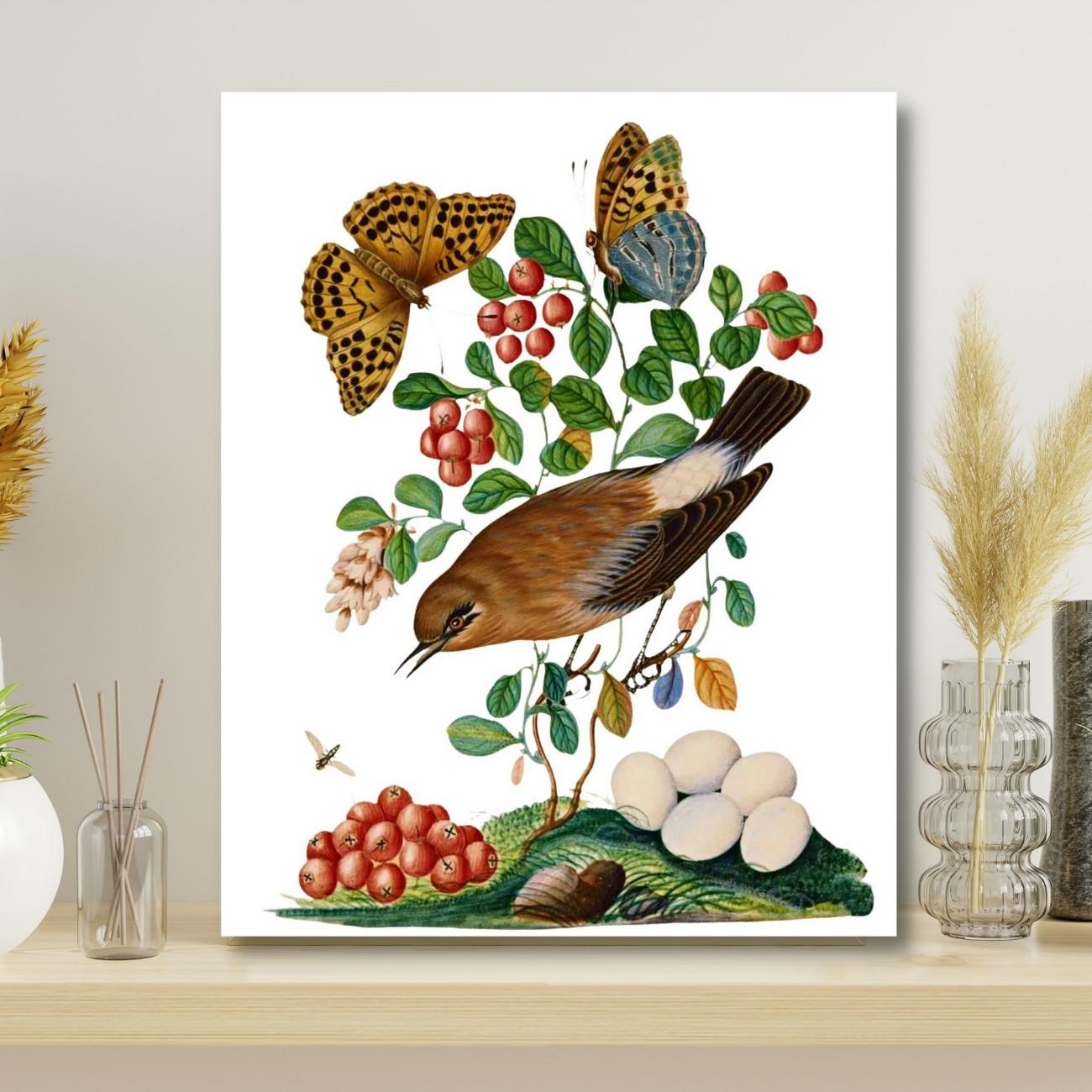 Nature Art Pieces - Bellesima