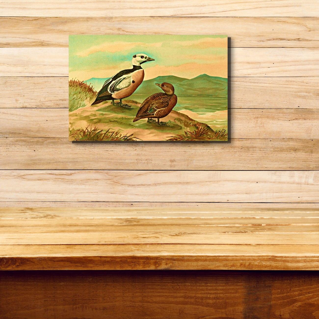 Wildlife Décor - Bellesima